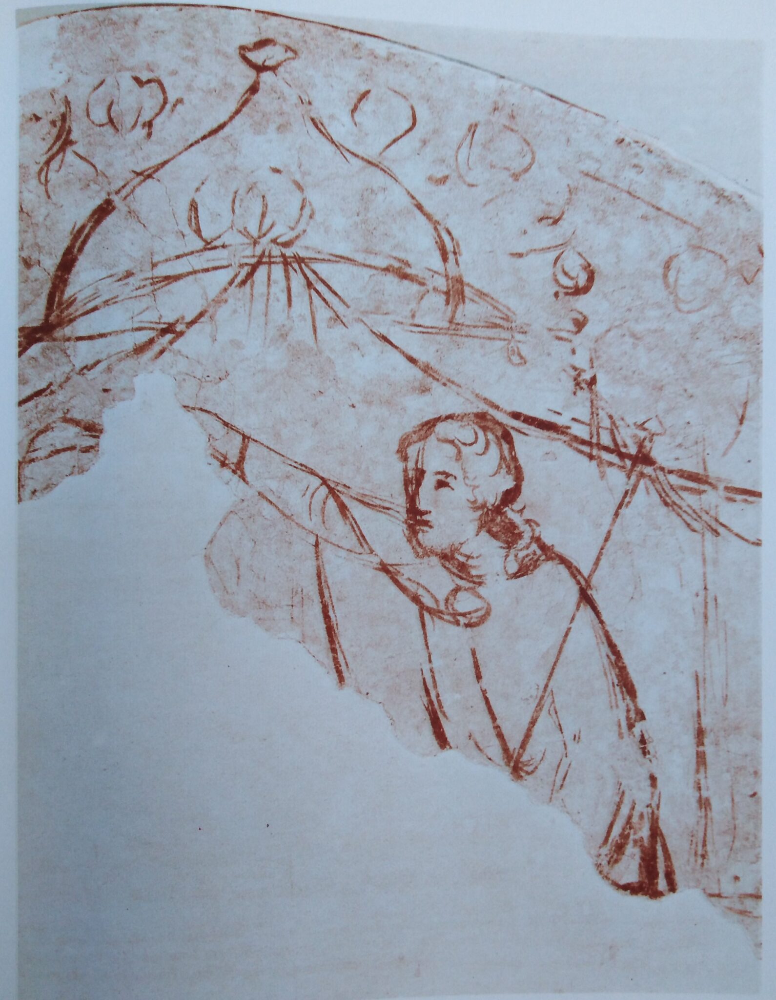 12. Dettaglio della sinopia del primo strato. Fotografia pubblicata in ...